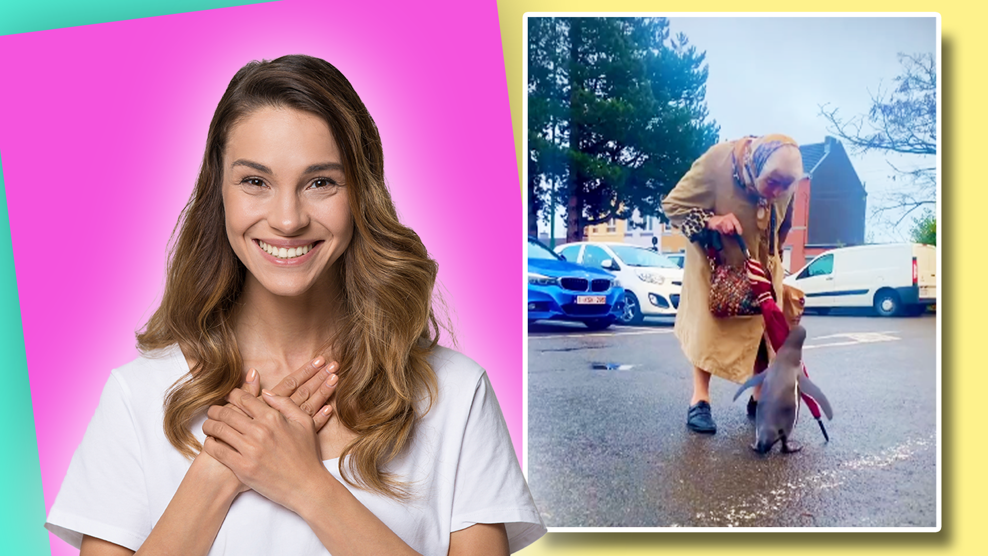 I Don't Know Who's Cuter In This Video Of An Elderly Lady Talking To A ...